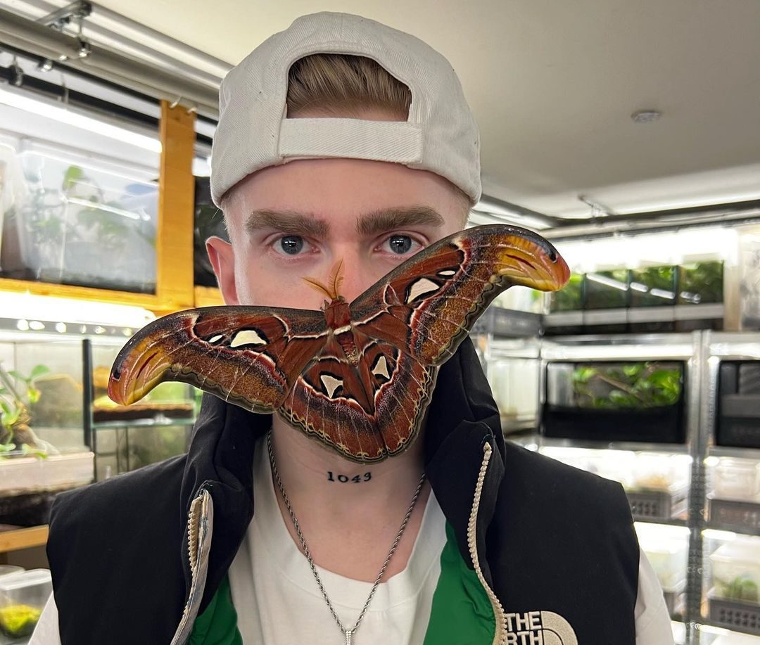 Meet Adrian Kozakiewicz, AKA Insecthaus, Instagram's Most Popular ...